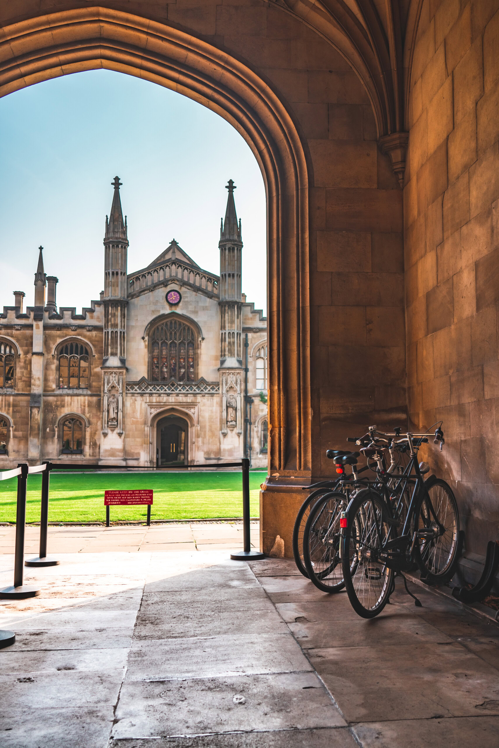 How to get into Cambridge University | Dukes Plus