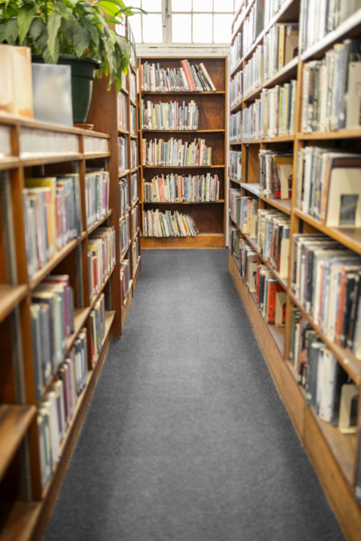 Psychology A Level Tutors | UK and Online | Dukes Plus