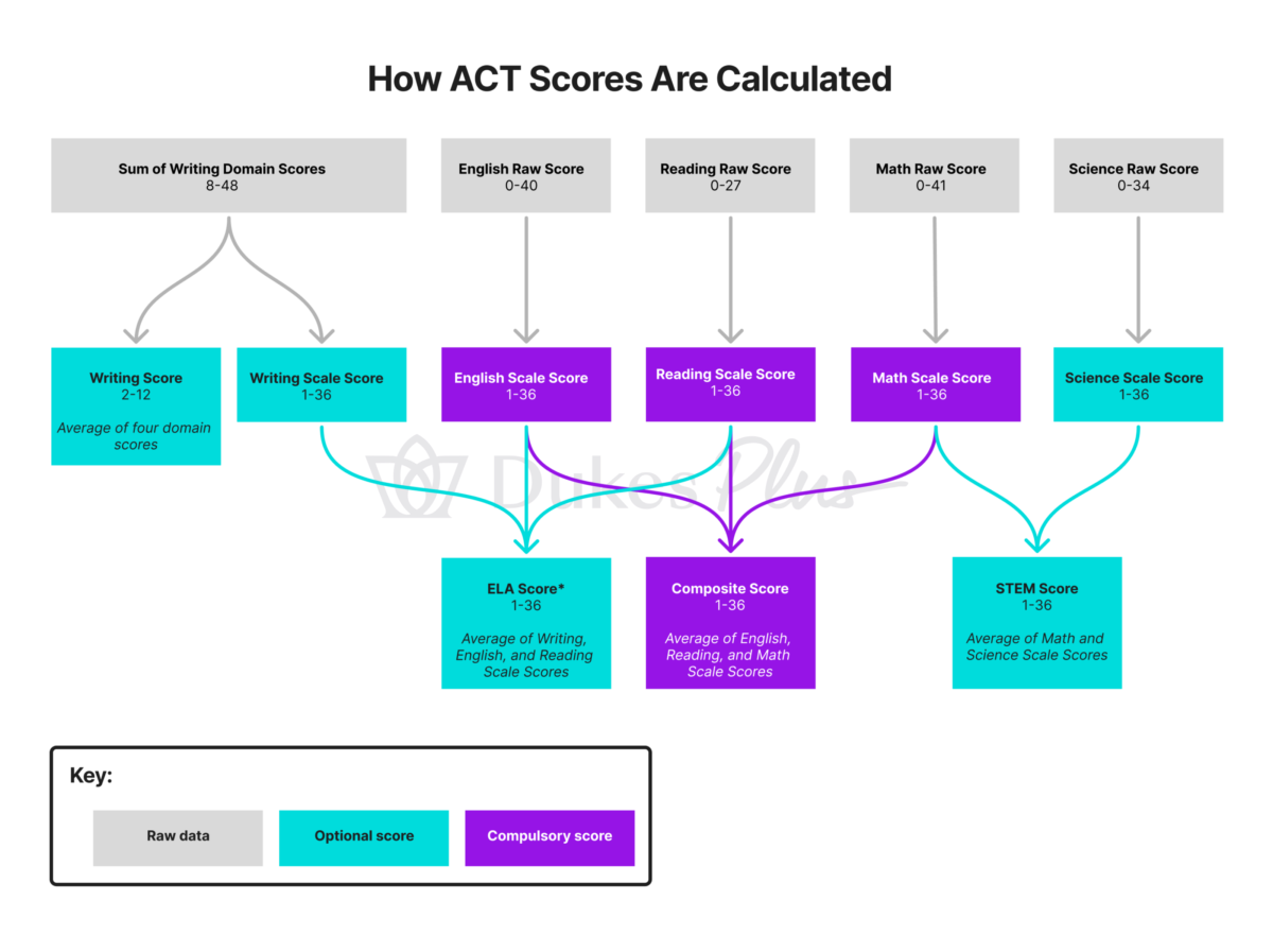 ACT Scores: A Complete Guide | Dukes Plus